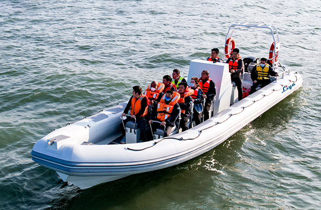 Liya Boat-Rigid Inflatable Boat (RIB Boats) Manufactuer