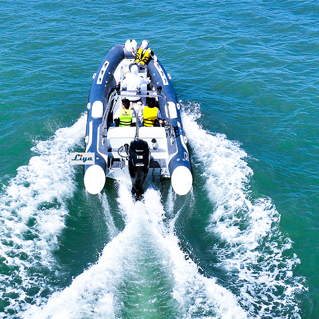 Liya Boat-Rigid Inflatable Boat (RIB Boats) Manufactuer