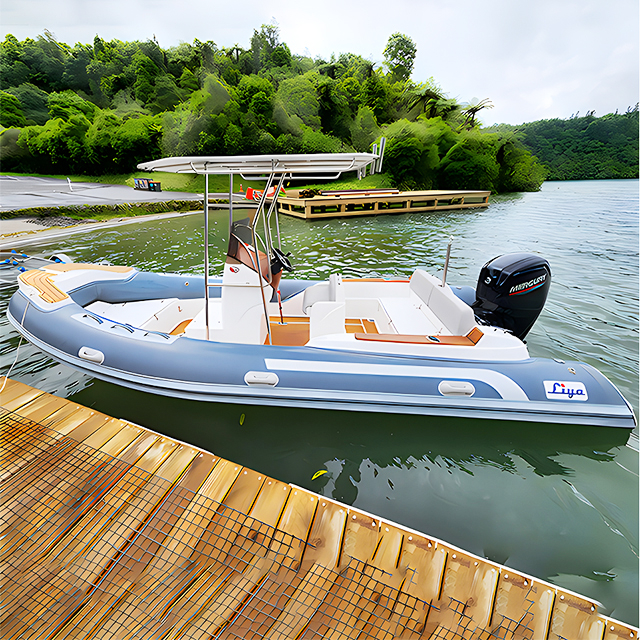 Liya Boat-Rigid Inflatable Boat (RIB Boats) Manufactuer