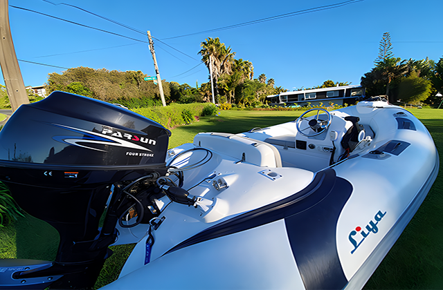 Liya Boat-Rigid Inflatable Boat (RIB Boats) Manufactuer