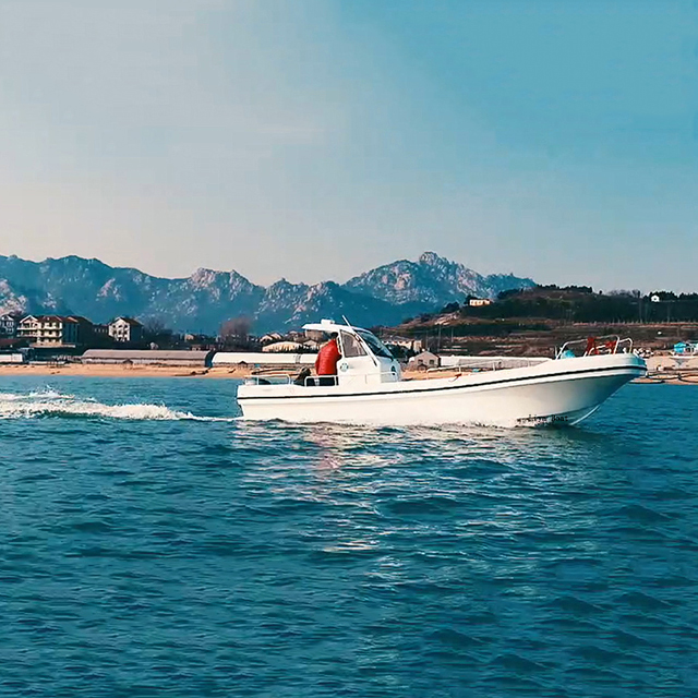 Liya 26 Foot Fiberglass Deck Boats 8 Meter Open fishing boat